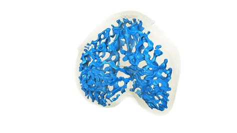 Xtra Library For Thermo Scientific Amira Avizo And Pergeos Software