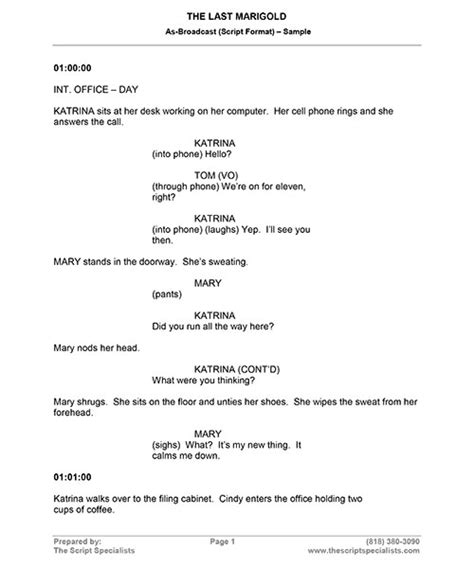 Sample Radio Ad Script
