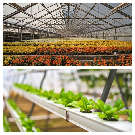 Ejemplos De Donde Cultivan Plantas