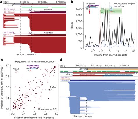 Alternative Transcript Isoforms Increase Coding Diversity A