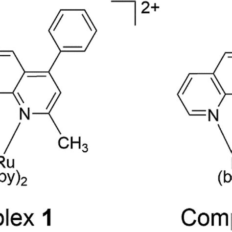 Agarose Gel Electrophoresis Of Puc8 Plasmid In 10 Mm Potassium