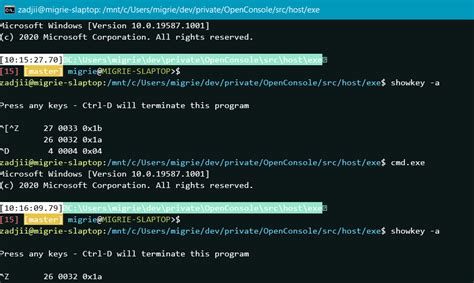 Control Alt Z Is Sending The Code For Control Z · Issue 4201