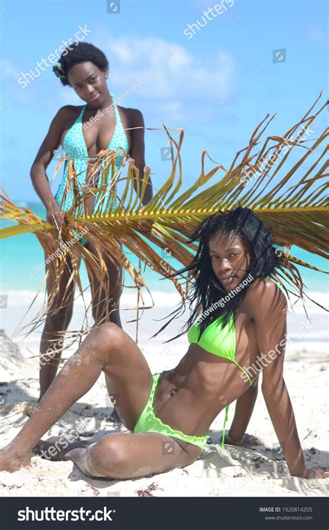 Two Beautiful Sexy Girl Bikini On Stock Photo Shutterstock