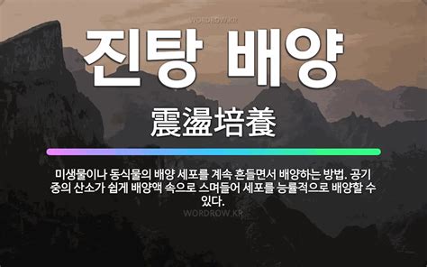 🌟진탕 배양 미생물이나 동식물의 배양 세포를 계속 흔들면서 배양하는 방법 공기 중의 산소가 쉽게 배양액 표준국어대사전