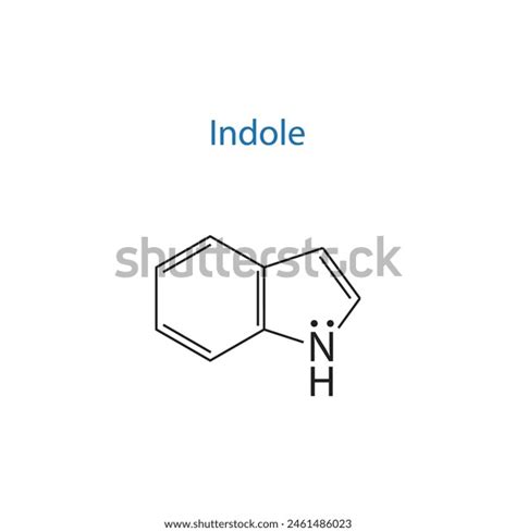 Indole Molecule Skeletal Structure Diagramorganic Compound Stock Vector Royalty Free