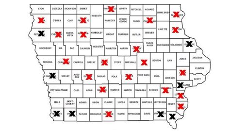 Palmer Amaranth On The Move