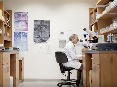 Sex Differences Identified In Deadly Brain Tumors Siteman Cancer Center