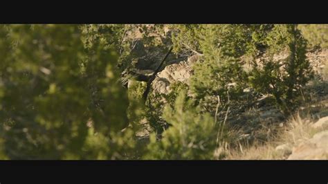 톰 행크스의 서부영화 [뉴스 오브 더 월드 News Of The World 2020]