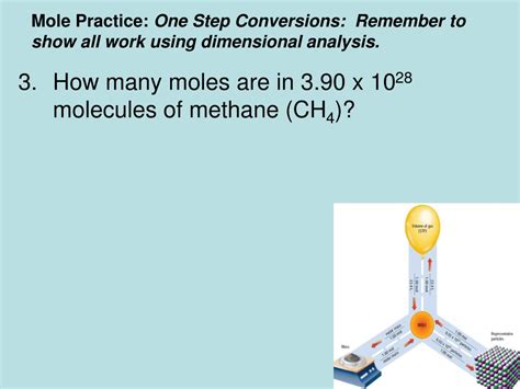 PPT The Mole PowerPoint Presentation Free Download ID 9639908