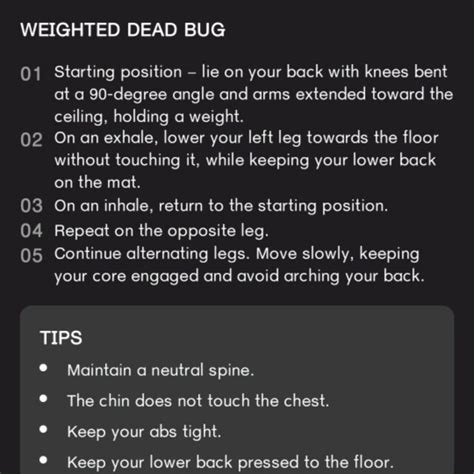 Weighted Dead Bug By Roxxi Franklin Exercise How To Skimble