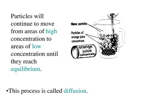 PPT Transport Across The Cell Membrane PowerPoint Presentation Free Download ID