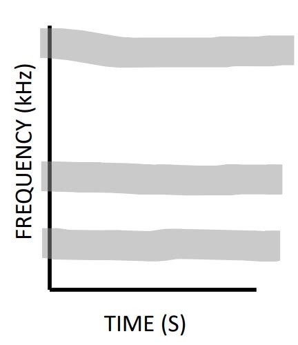 Exam 2 Slides Flashcards Quizlet