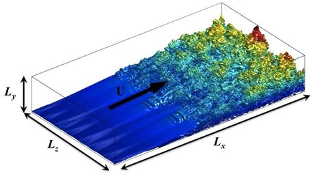 The Numerical Setup And The Instantaneous Visualization Of The Spanwise