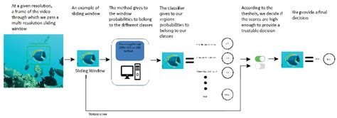 Detectionrecognition Pipeline Download Scientific Diagram
