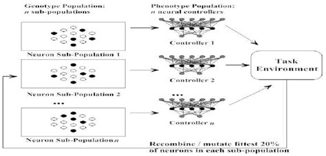 Cone Collective Neuro Evolution See Section 2 For Details Download Scientific Diagram