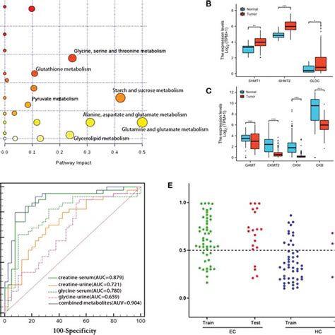 A Metabolic Pathways Associated With Various Metabolic Alterations In Download Scientific