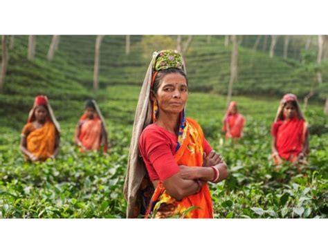 The Missing Link In Indias Economic Growth