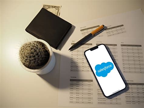 Salesforce Developer Training Alpha Academy