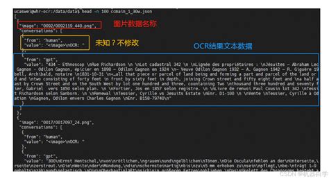 从零开始使用GOT OCR 多模态OCR项目微调数据集构建 训练解决训练报错成功实验微调训练