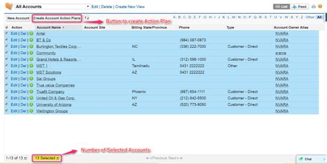 Action Plan Template Salesforce