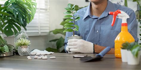 정원 가꾸기와 지속 가능한 생활 화분에 심은 식물을 들고 친환경 원예 활동을 홍보하는 사람 Age Concern에 대한 스톡 사진 및 기타 이미지 Istock