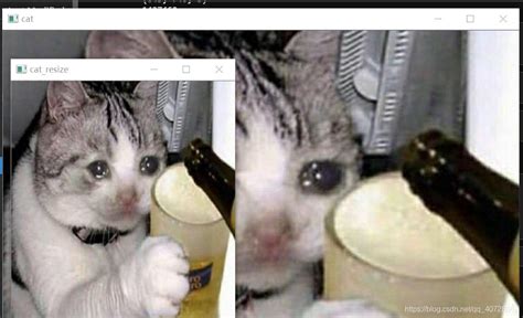 （pythonopencv）图像缩放cvimshowimage Data 缩放 Csdn博客