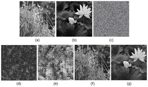 Full Complex Amplitude Modulation By Spatial Cross Modulation Method Download Scientific
