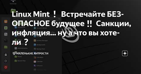 Linux Mint ️ Встречайте БЕЗОПАСНОЕ будущее‼️ Санкции инфляция ну а что вы хотели 🖥️