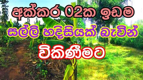 අක්කර 2ක ඉඩම සල්ලි හදිසියකට විකිණීමට දුටුනොදුටු ලෝකය ඉඩම් නිවාස දුටුනොදුටු වීඩියෝ Youtube