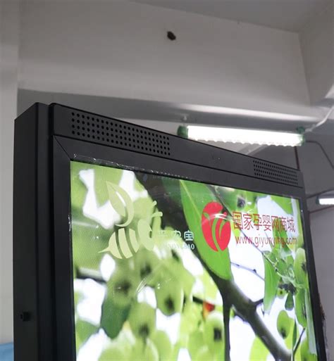 49 Inch Double Sided Lcd Standalone Lcd Display Fshd490 W Fengshi