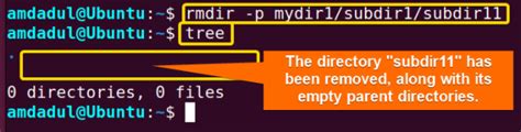 The Rmdir” Command In Linux 7 Practical Examples Linuxsimply