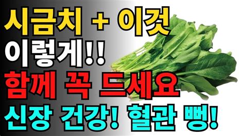 시금치와 상극인 음식 Top3 절대 같이 먹지 마세요 노년기 건강을 위해 먹는 시금치 이렇게 드셔야 막힌 혈관이 뻥 뚫리고 신장이 살아납니다 시금치효능건강정보