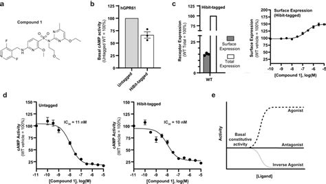 Inverse Agonist Compound Structure And Characterization A Chemical