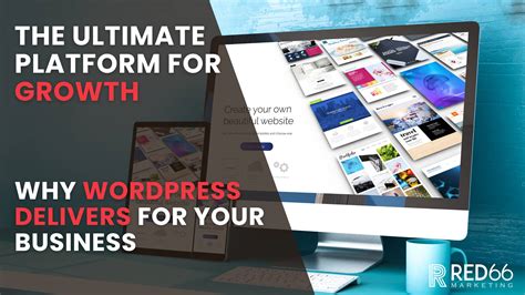 Which Cms Is Best For Seo Red66