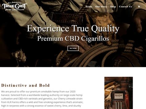 wordpress website single page elementor divi wpbakery etc upwork