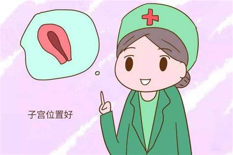 子宫前位或后位与怀孕有什么关系？ 知乎