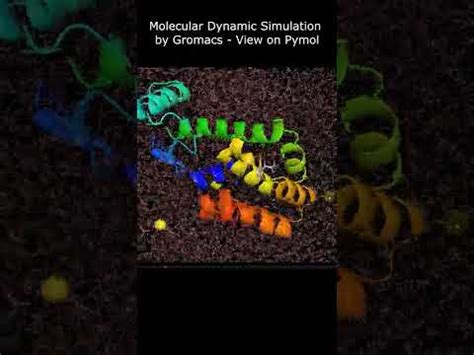 Protein Ligand Complex Molecular Dynamic Simulation by Gromacs Pymol Động học phân tử