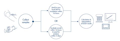 Quantiferon Tb Gold Quantiferon