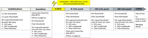 Outline Of Experimental Procedures The Three Experimental Sessions