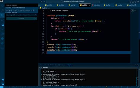 Day 28 Of Javascript Challenge Identifying Prime Numbers Aditya Kumar Posted On The Topic