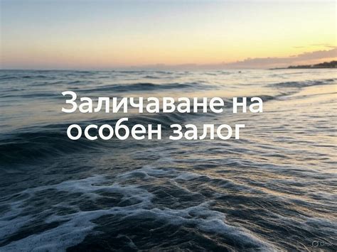 Заличаване на особен залог