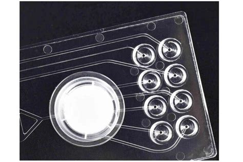 Assay Development Chip 1 Labsmith