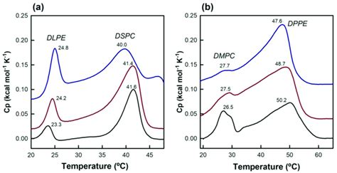Dsc Thermograms For Systems Composed Of A Dlpedspc 11 And B Download Scientific Diagram Dsc Thermograms For Systems Composed Of A Dlpedspc 11 And B Download Scientific Diagram