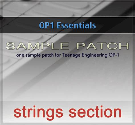 strings section