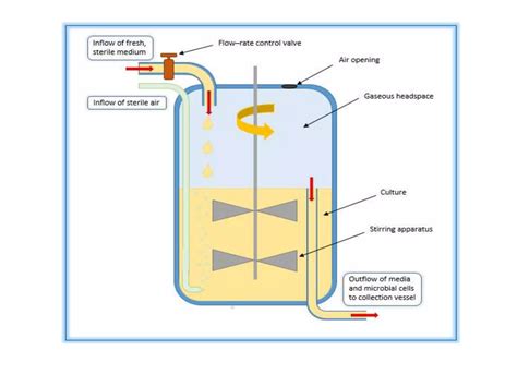 Fermentation Types Pptx Chemistry Science