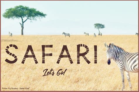 Safari Playful Display Font Typeface 81206 Other Font Bundles