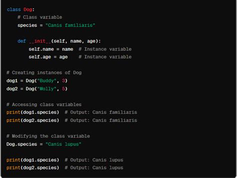 Lazy Programming Series Instance And Class Variables In Python