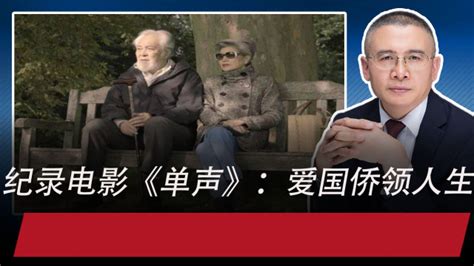 纪录电影《单声》，呈现爱国侨领不凡人生：成功的人如何激发潜能 高清1080p在线观看平台 腾讯视频