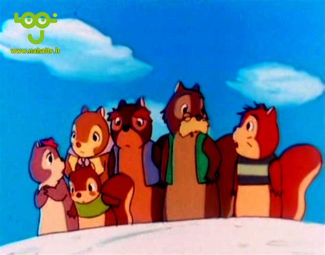 بنر سنجاب کوچولو شبکه نهال