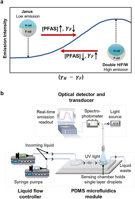 Real Time Detection And Classification Of Pfas Using Dynamic Behaviors